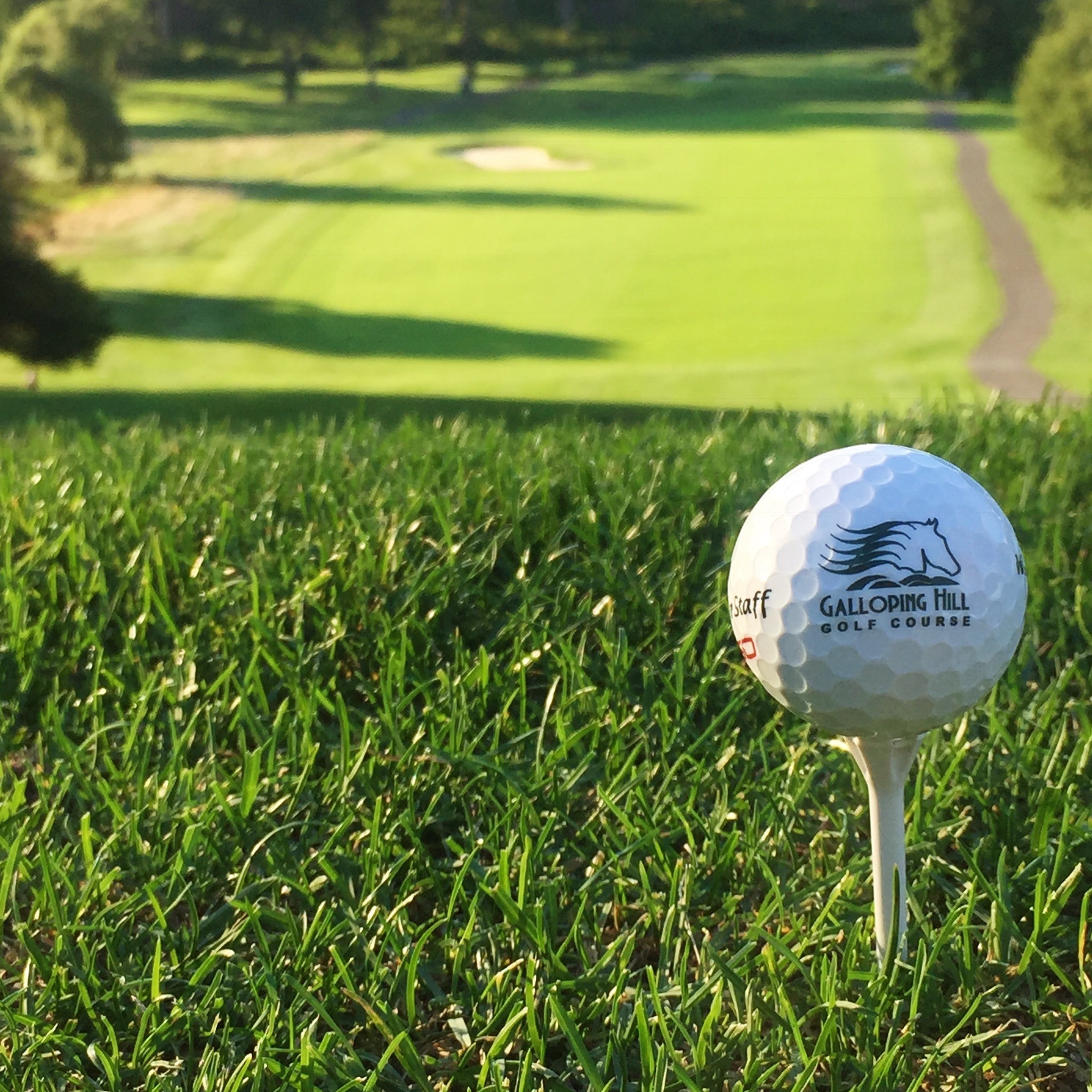 Galloping Hill Golf Course – A Top 50 Public Facility in New Jersey ...